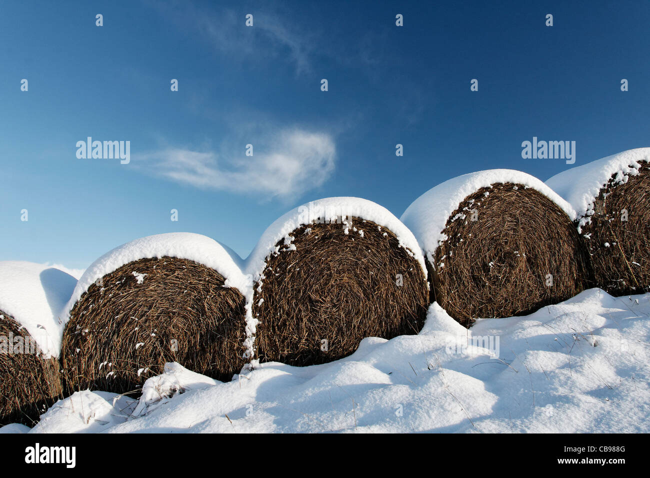 Covered hay bales hi-res stock photography and images - Alamy