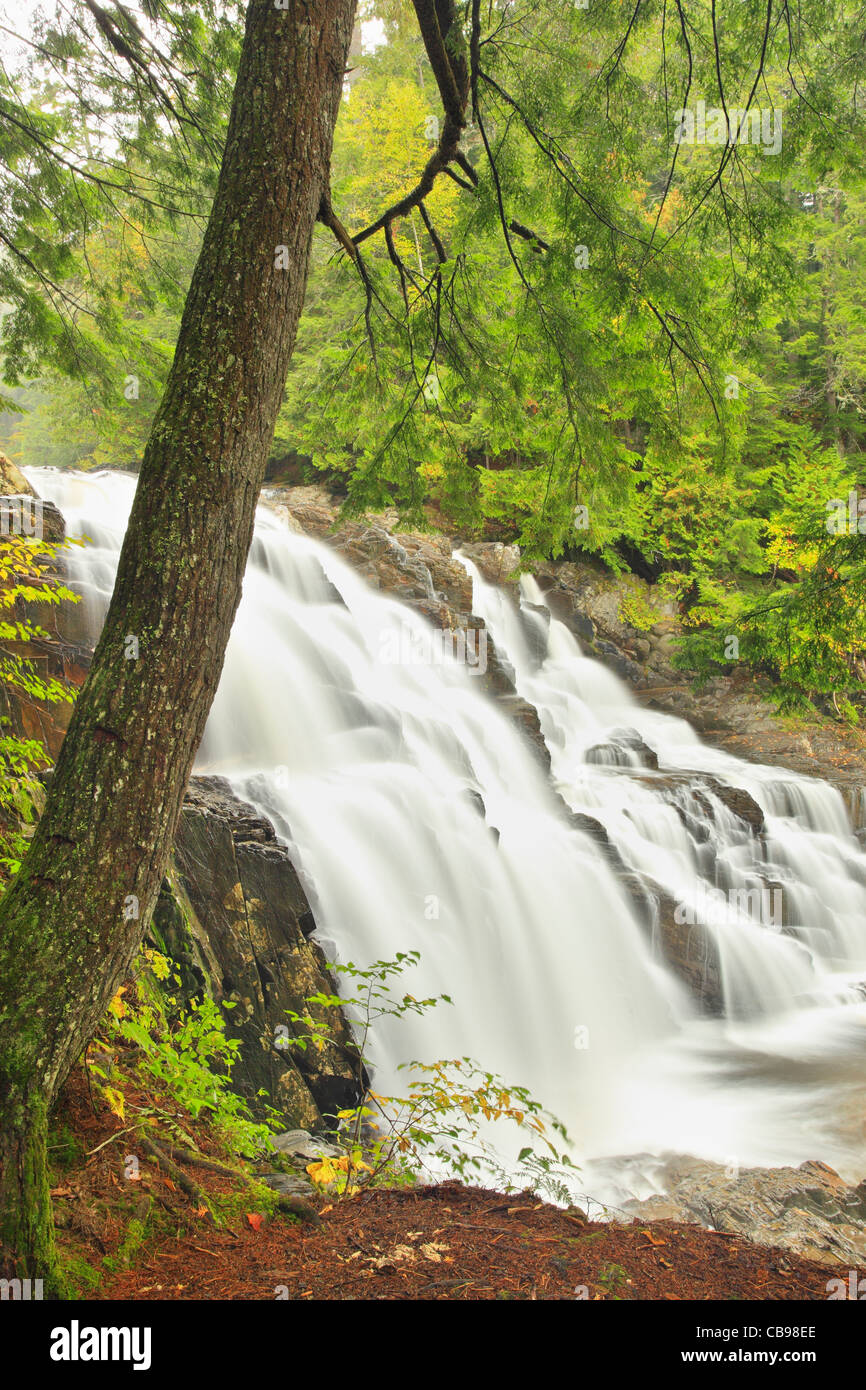Houston brook falls maine hi-res stock photography and images - Alamy