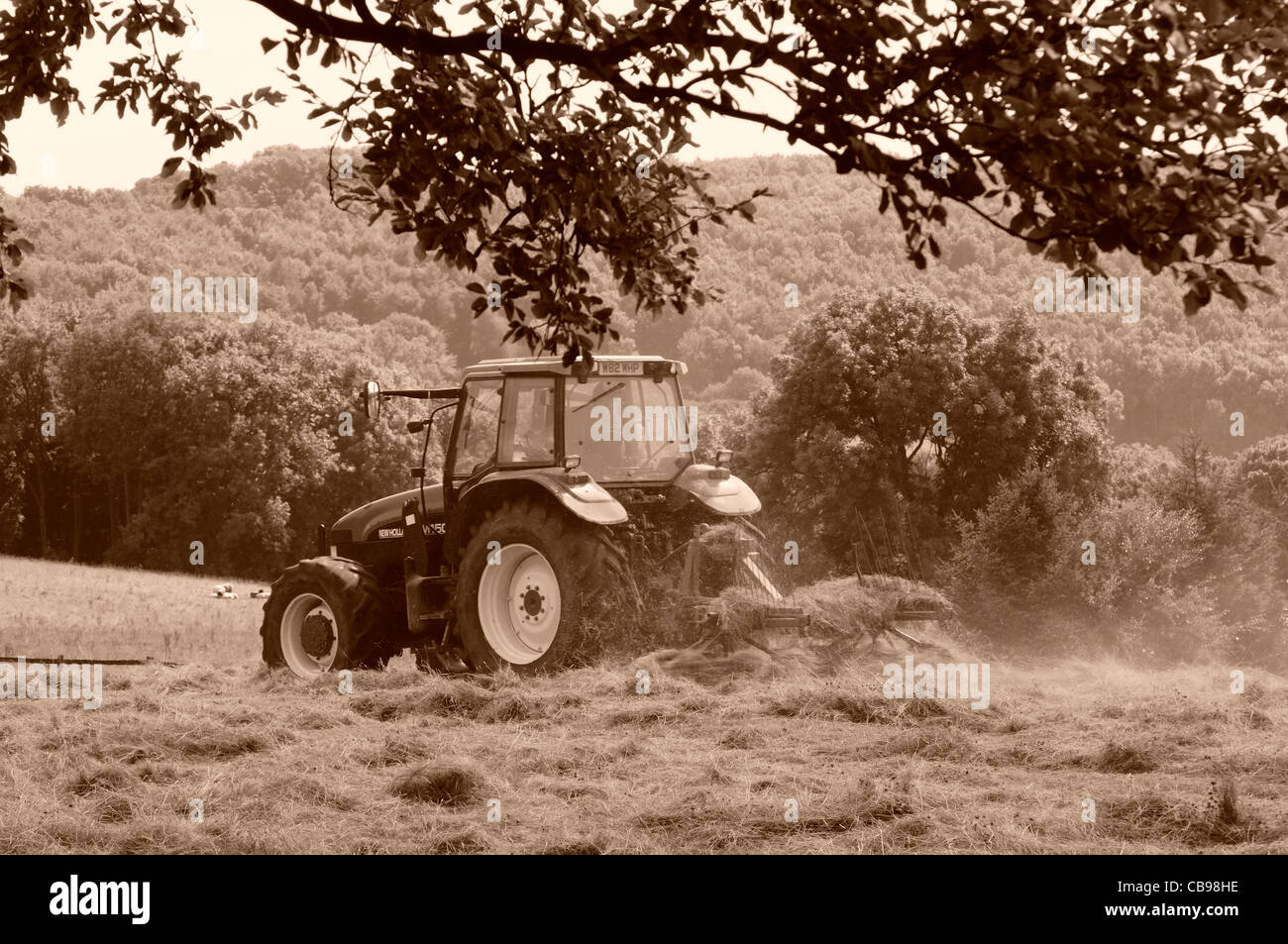 Tractor raking the Hay in field Stock Photo - Alamy