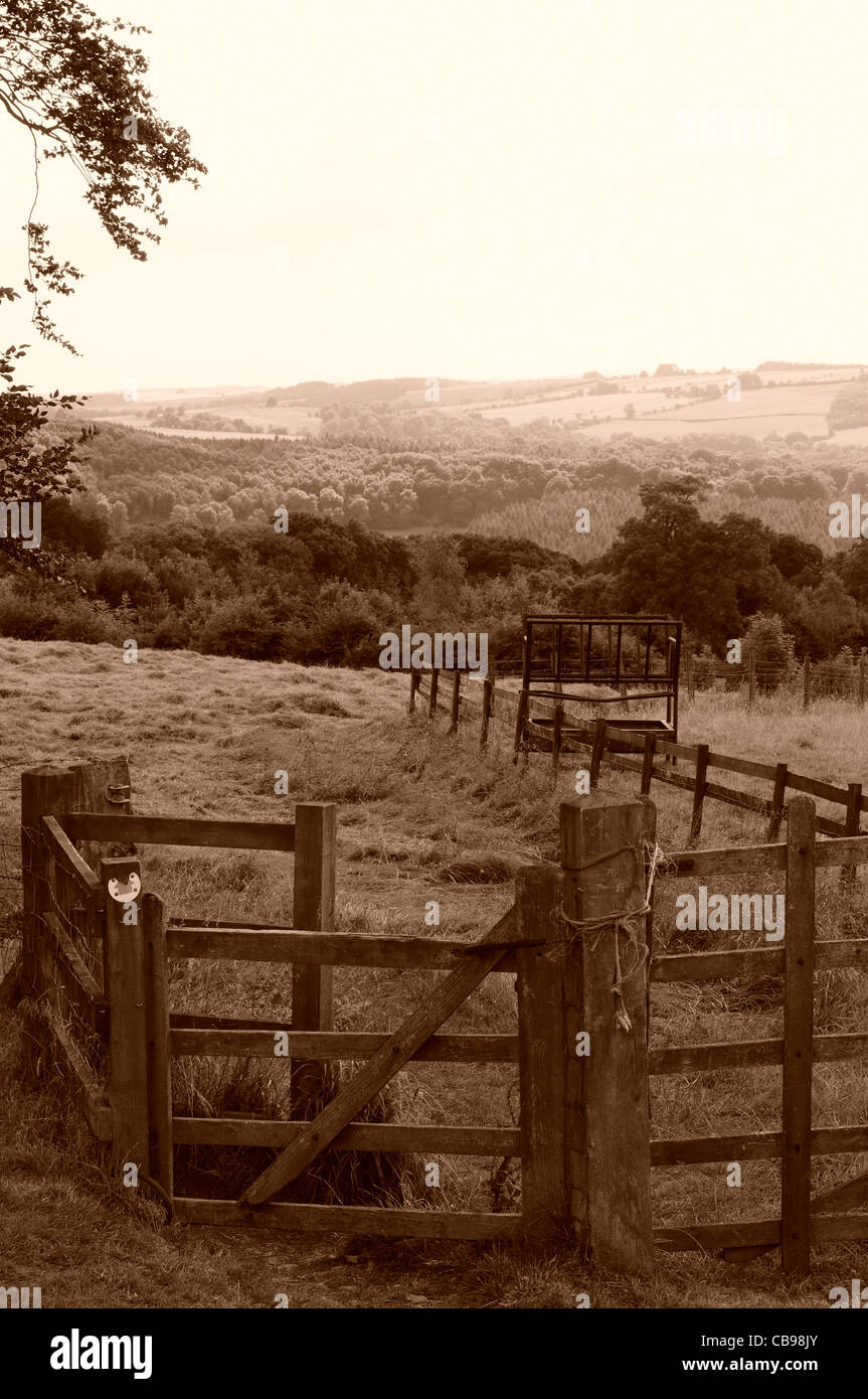 Gate leading into Hay Field Stock Photo - Alamy