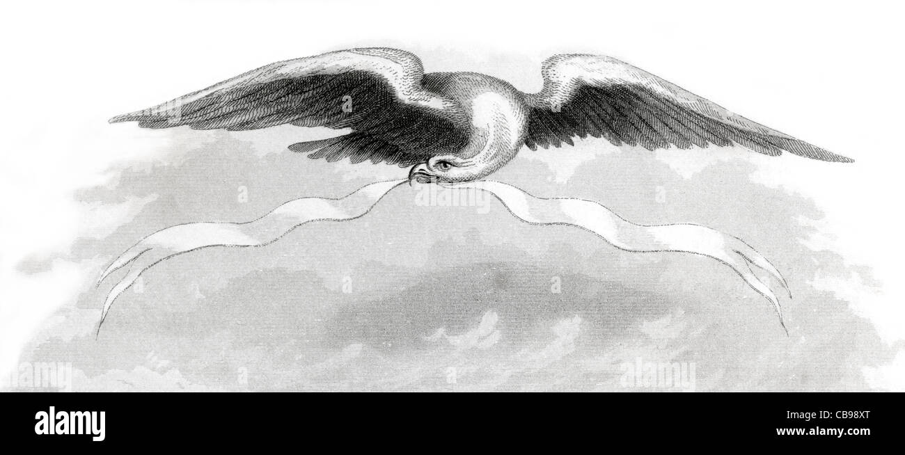 American flag eagle art hi-res stock photography and images - Alamy