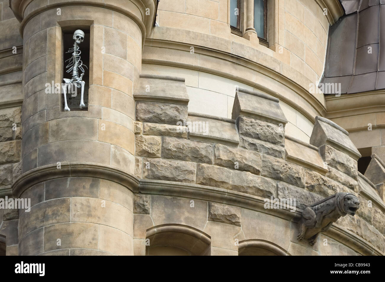 Skeleton in medieval castle window Stock Photo - Alamy