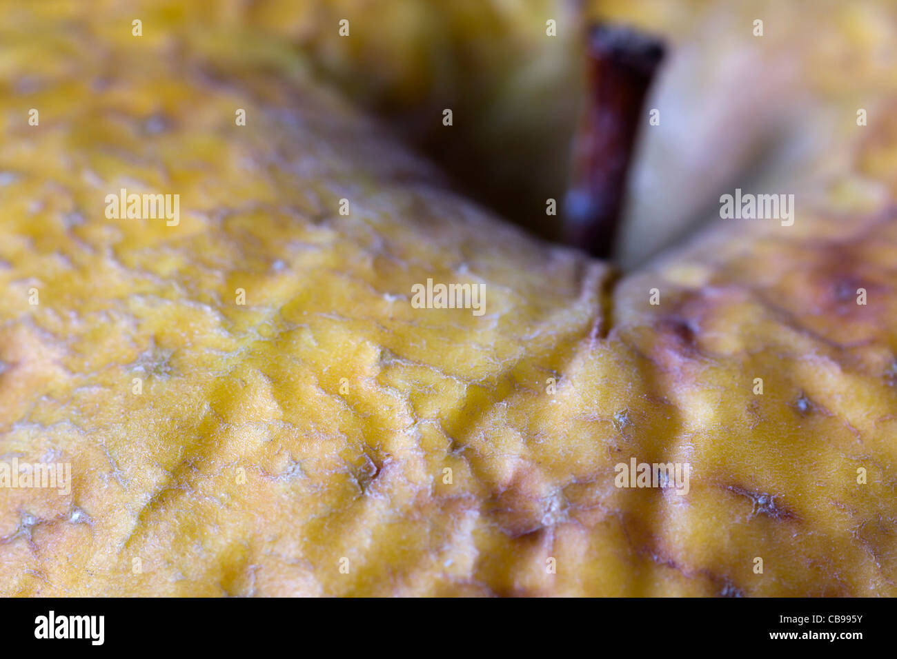 Wrinkly apple hi-res stock photography and images - Alamy