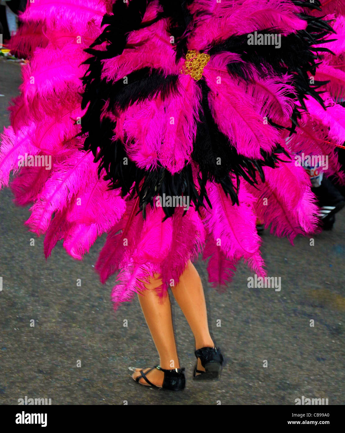 Cool feathers hi-res stock photography and images - Alamy
