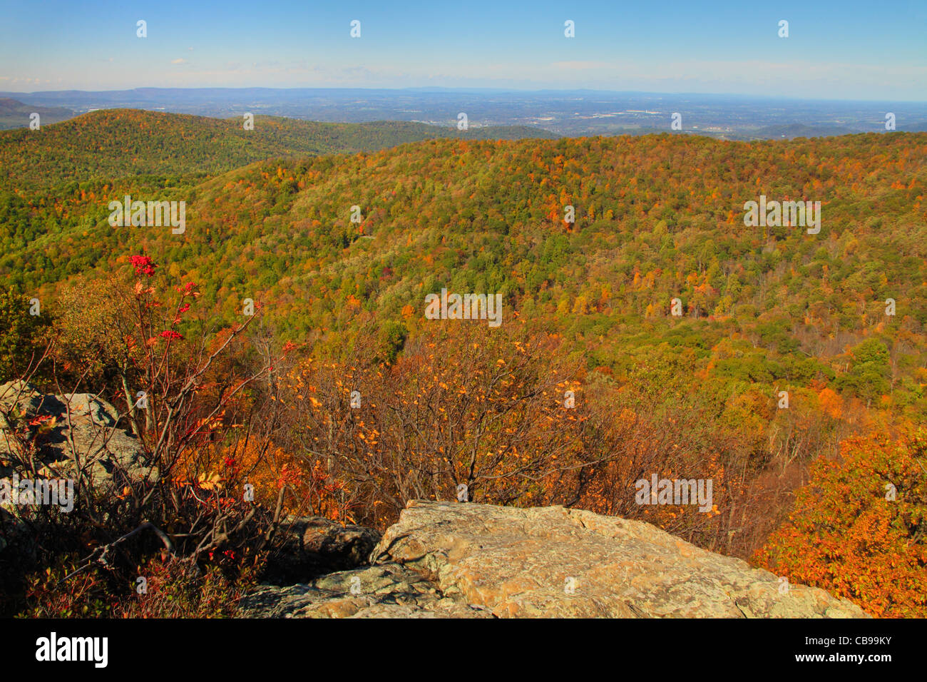 Compton Peak, Appalachian Trail, Shenandoah National Park, Virginia ...