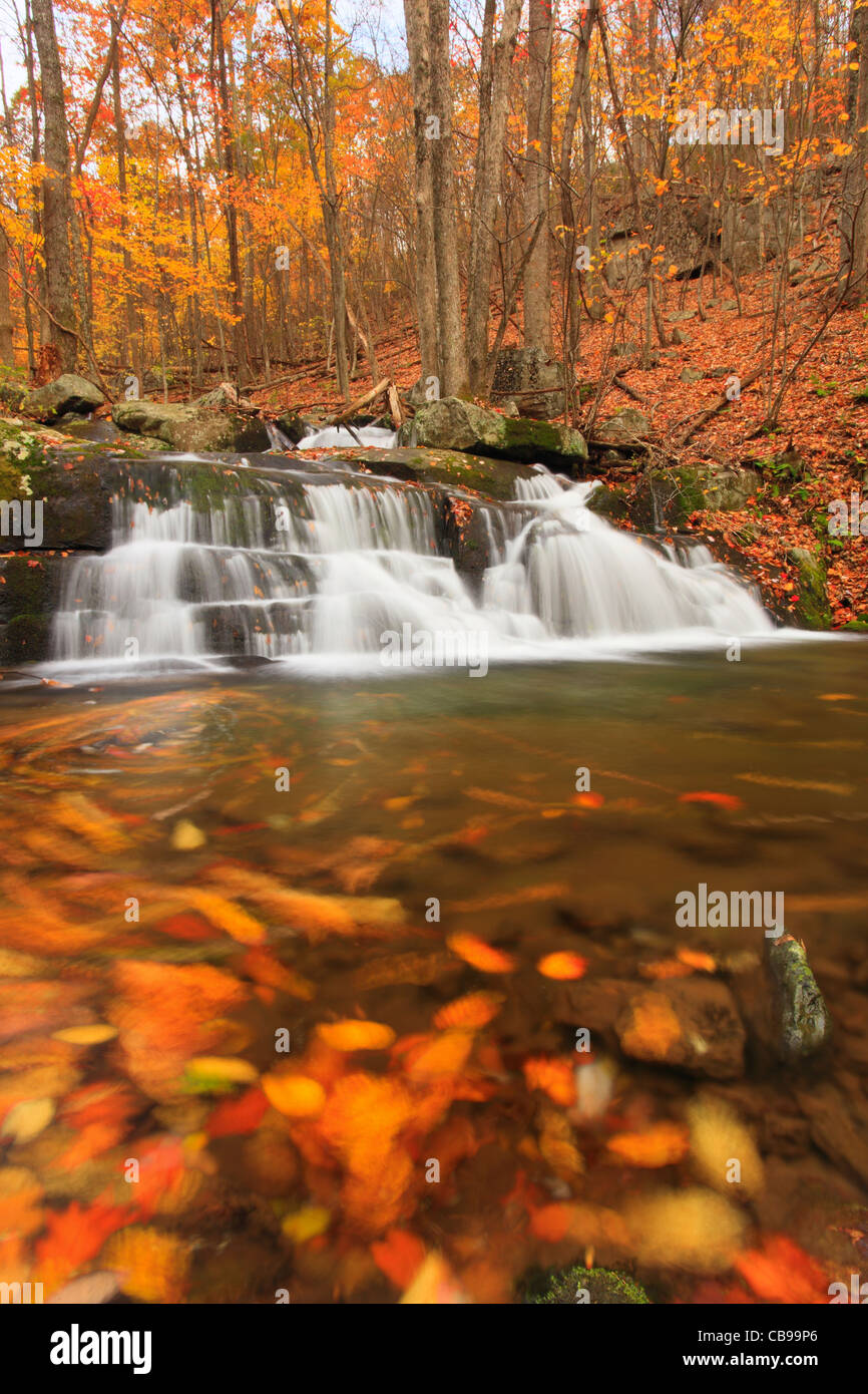 Falls on Hogcamp Branch, Rose River Loop Trail, Shenandoah National ...