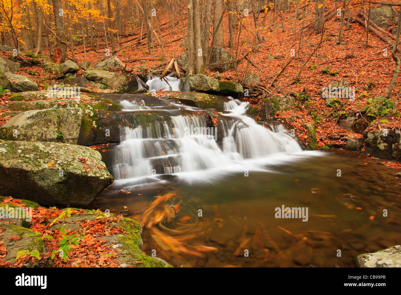 Falls on Hogcamp Branch, Rose River Loop Trail, Shenandoah National ...