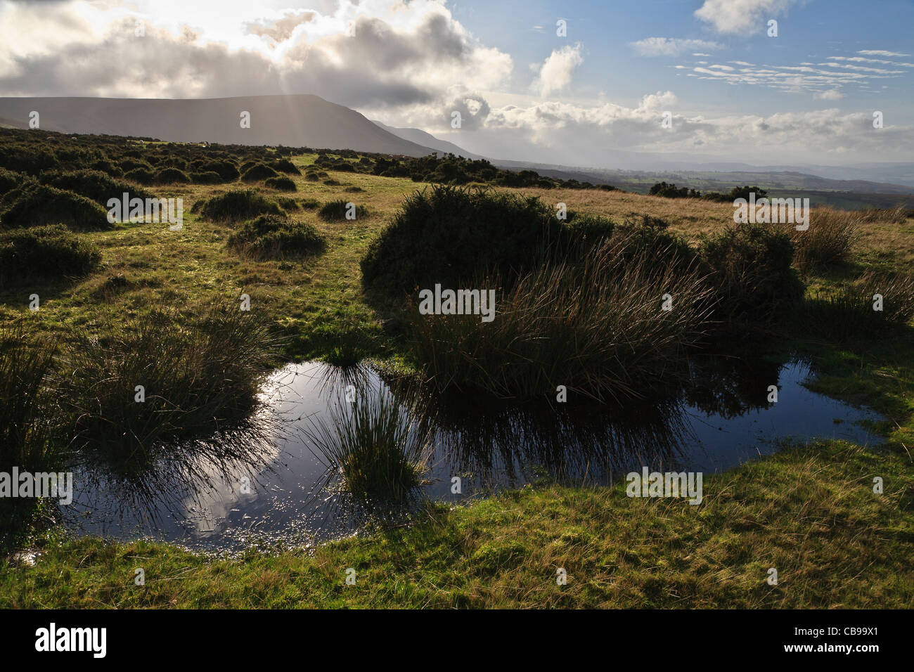 View from Gospel pass to Twmpa, Black Mountains, Bannau Brycheiniog ...