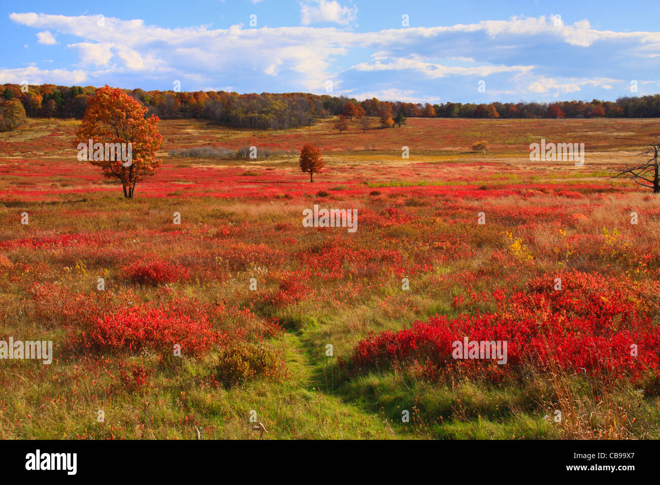 Big meadows shenandoah national park hi-res stock photography and ...