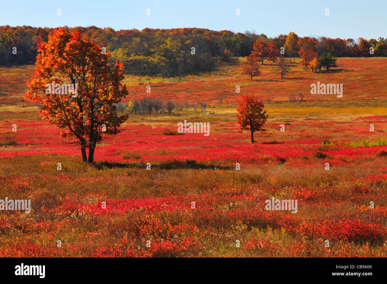 Big Meadows, Shenandoah National Park, Virginia, USA Stock Photo - Alamy