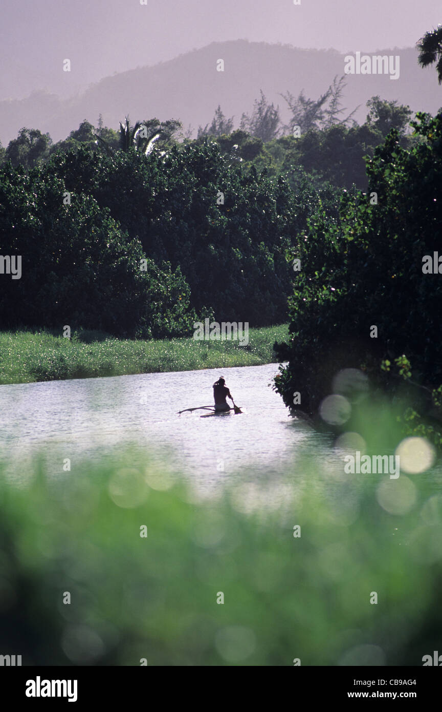 Hawaii, Kauai, one man canoe on Hanalei River Stock Photo - Alamy