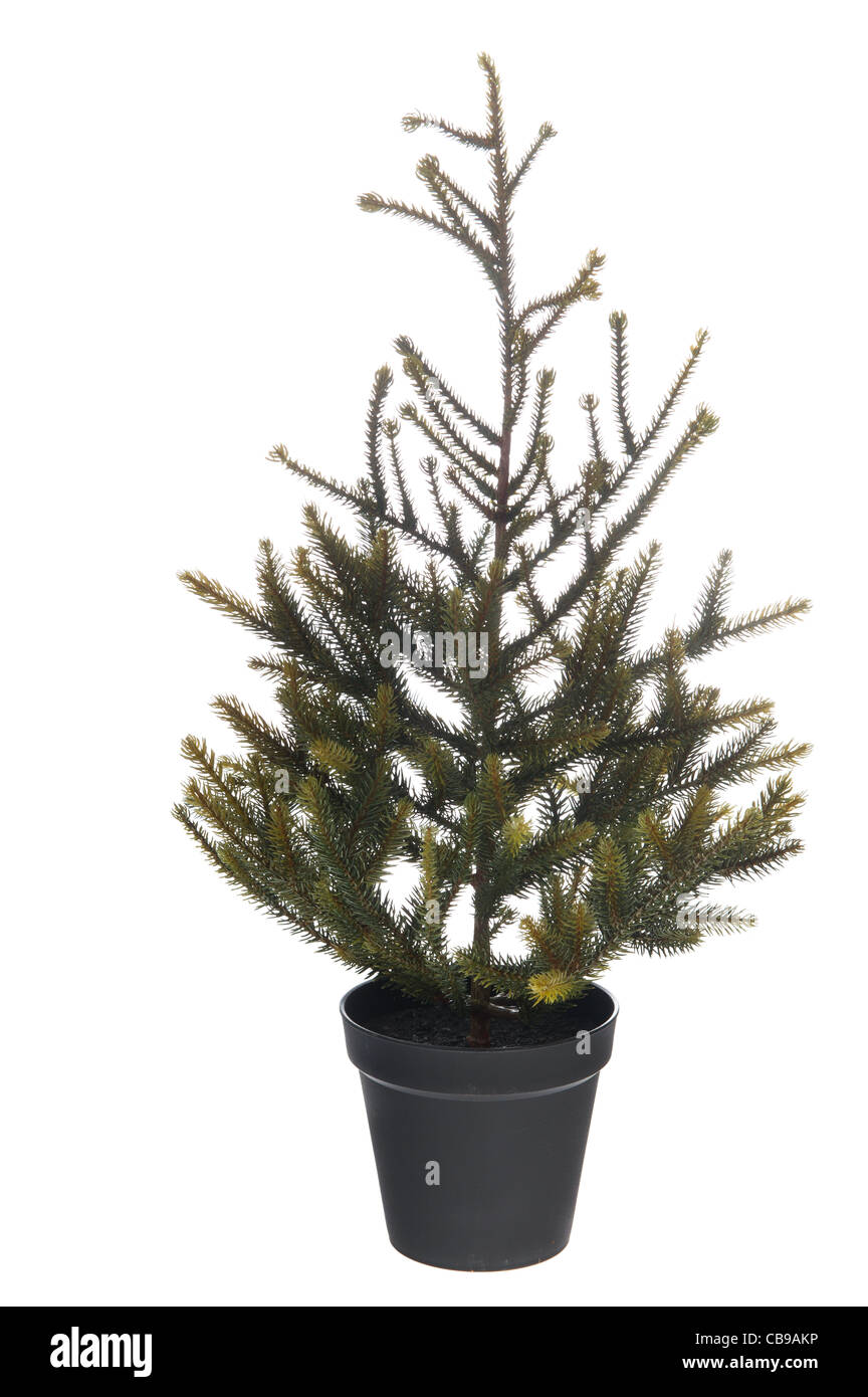 Empty Christmas tree in black plastic pot Stock Photo - Alamy