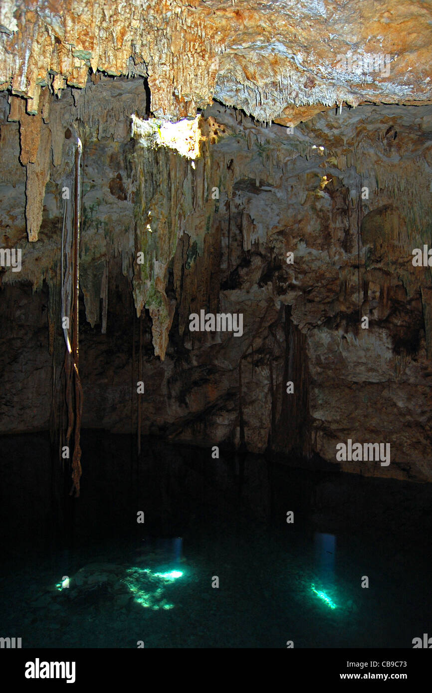 Cuzama Cenote, Yucatan, Mexico Stock Photo - Alamy