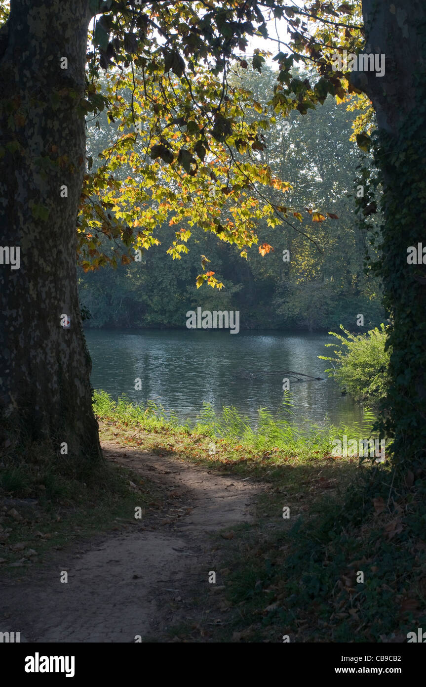 Autumn foliage overhanging hi-res stock photography and images - Alamy