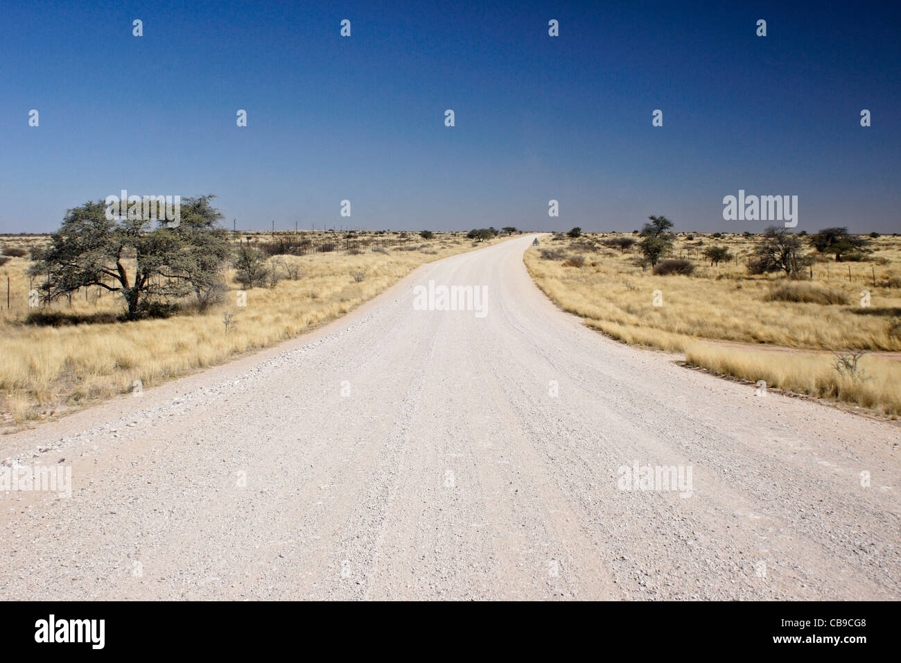 Road leading to the Kalahari Desert near Kalkrand, Namibia Stock Photo ...