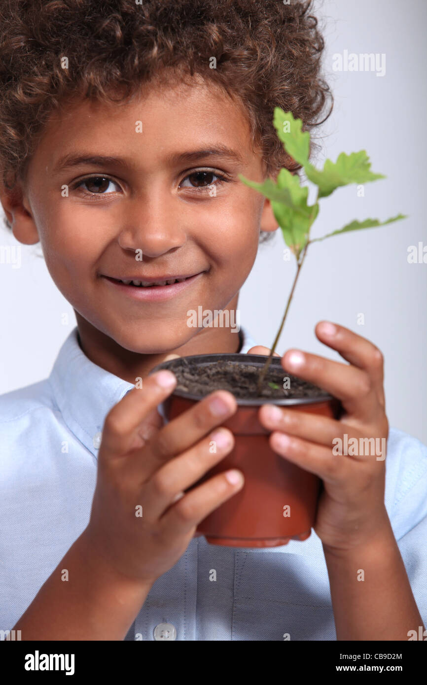 Little boy with a young oak tree Stock Photo - Alamy