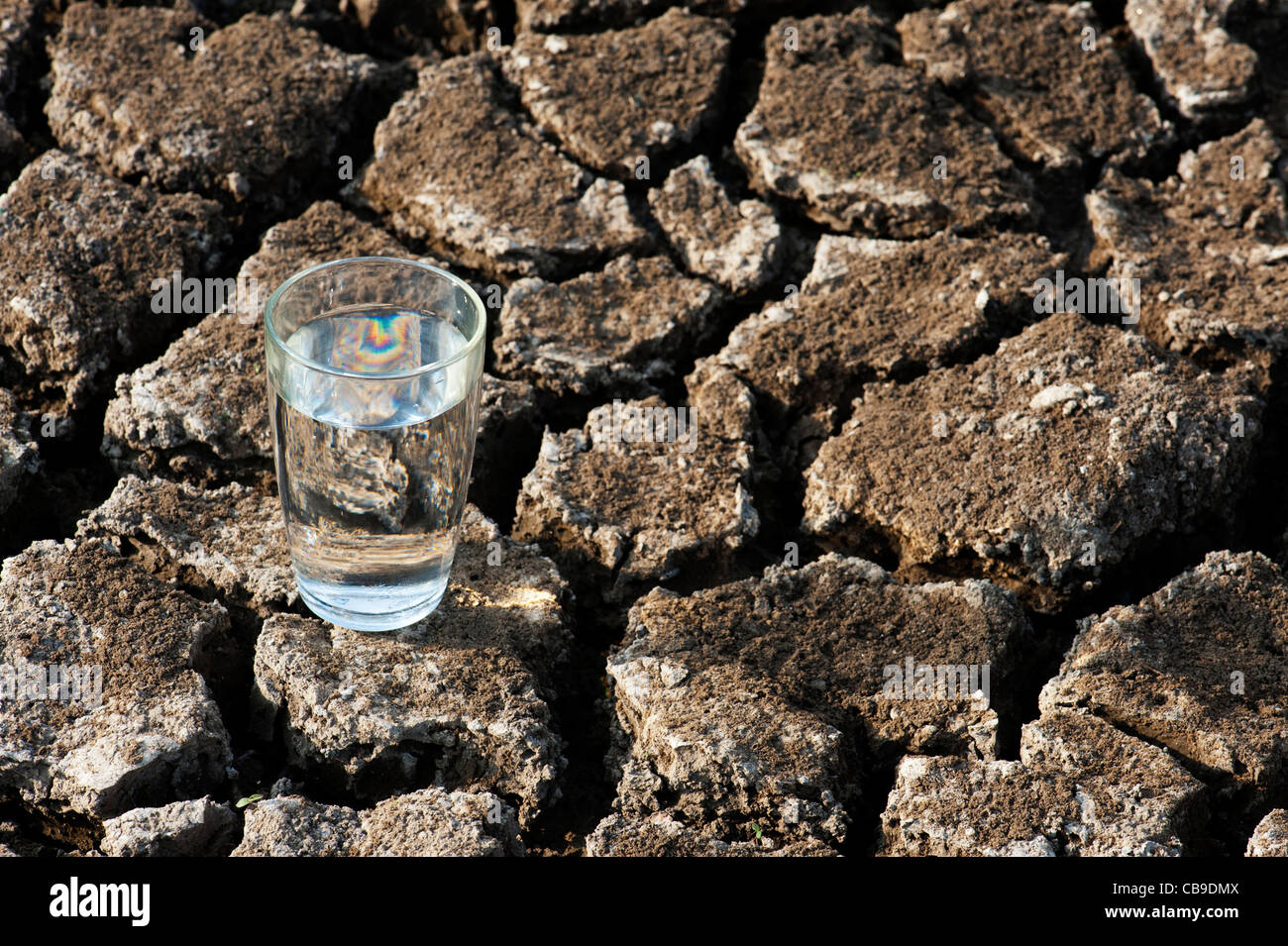 Glass of water on dry cracked earth. India Stock Photo - Alamy
