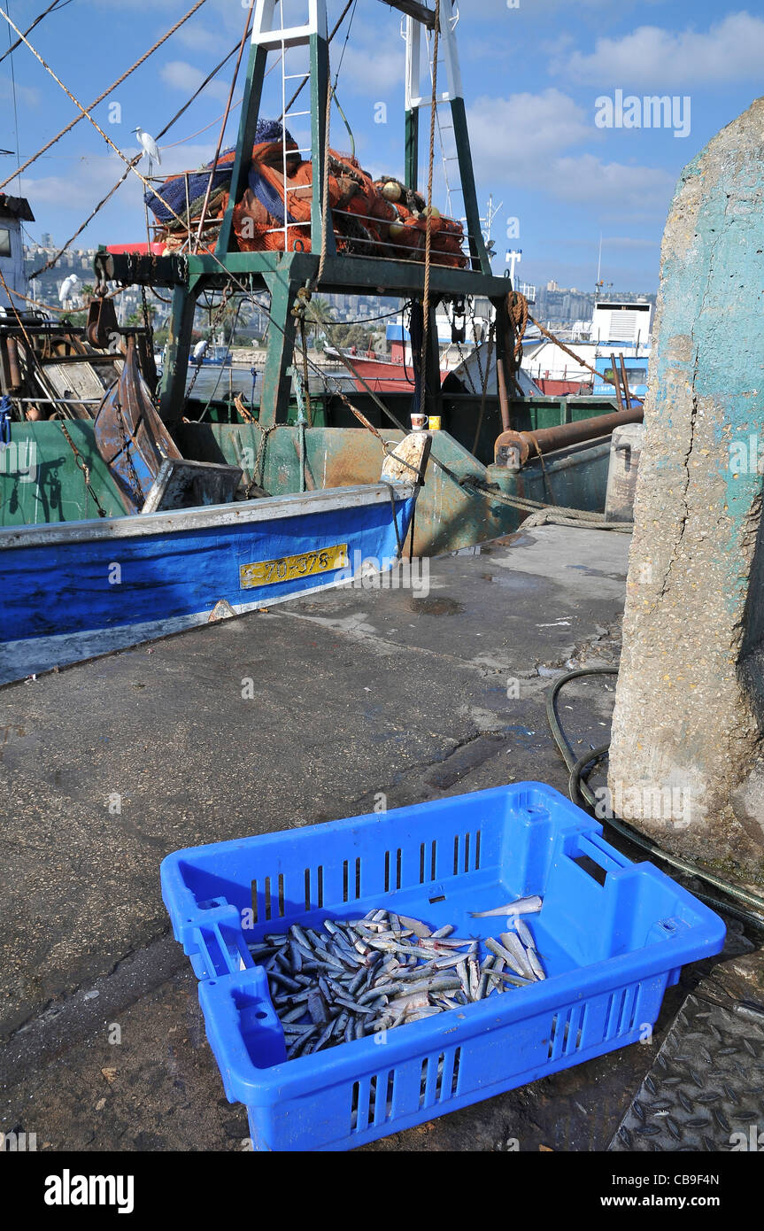 Israel, Bay of Haifa, The Kishon Port. used by fisherman and yacht ...