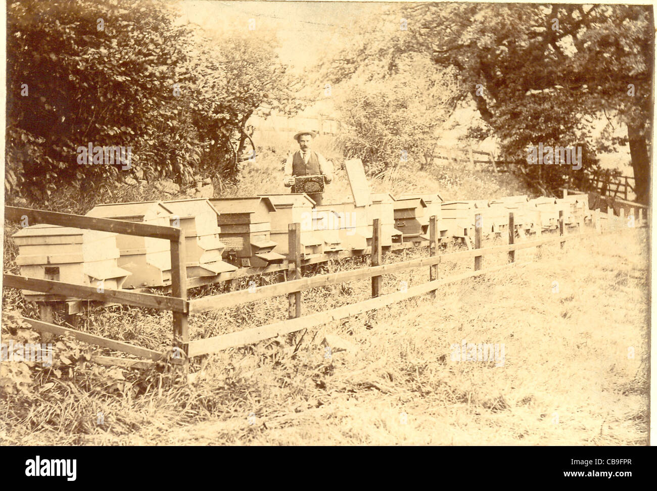 Victorian bee hives hi-res stock photography and images - Alamy