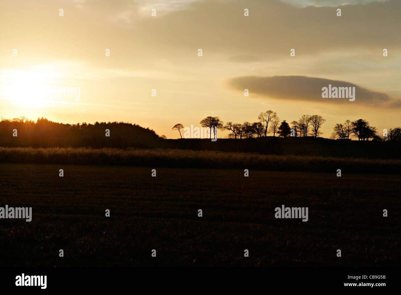 LOW WINTER SUN Stock Photo - Alamy