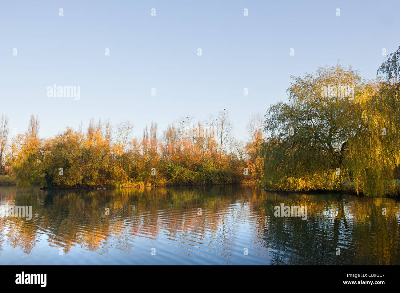 Early morning sunlight at Gloucester Park in Basildon Stock Photo - Alamy