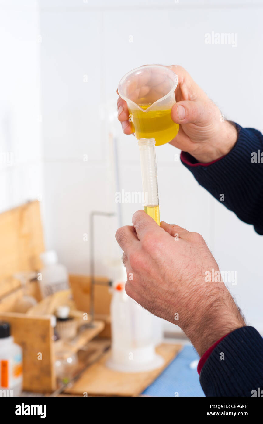 Tests being carried out in a food laboratory Stock Photo - Alamy