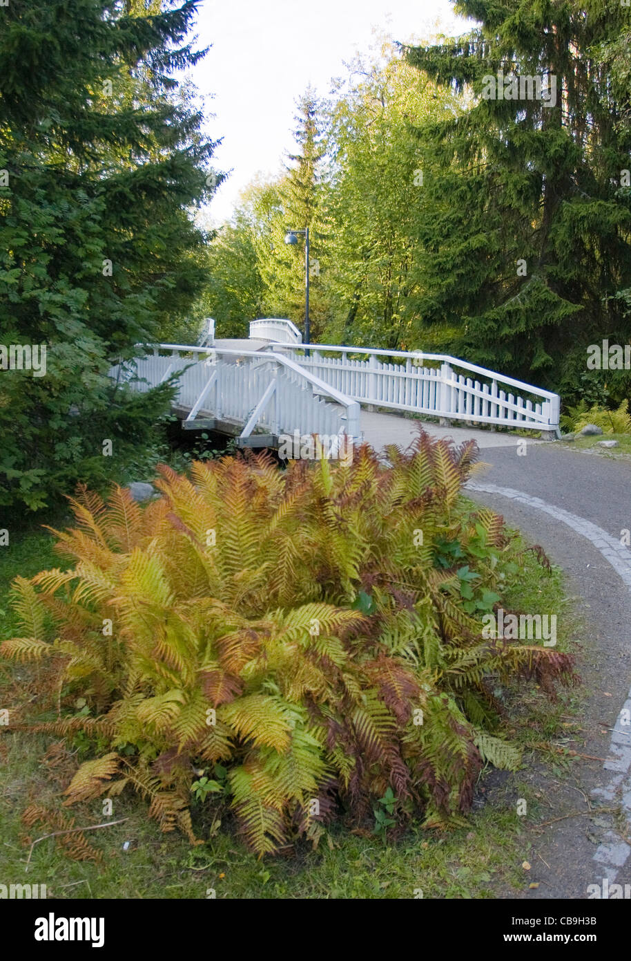 White bridges hi-res stock photography and images - Alamy