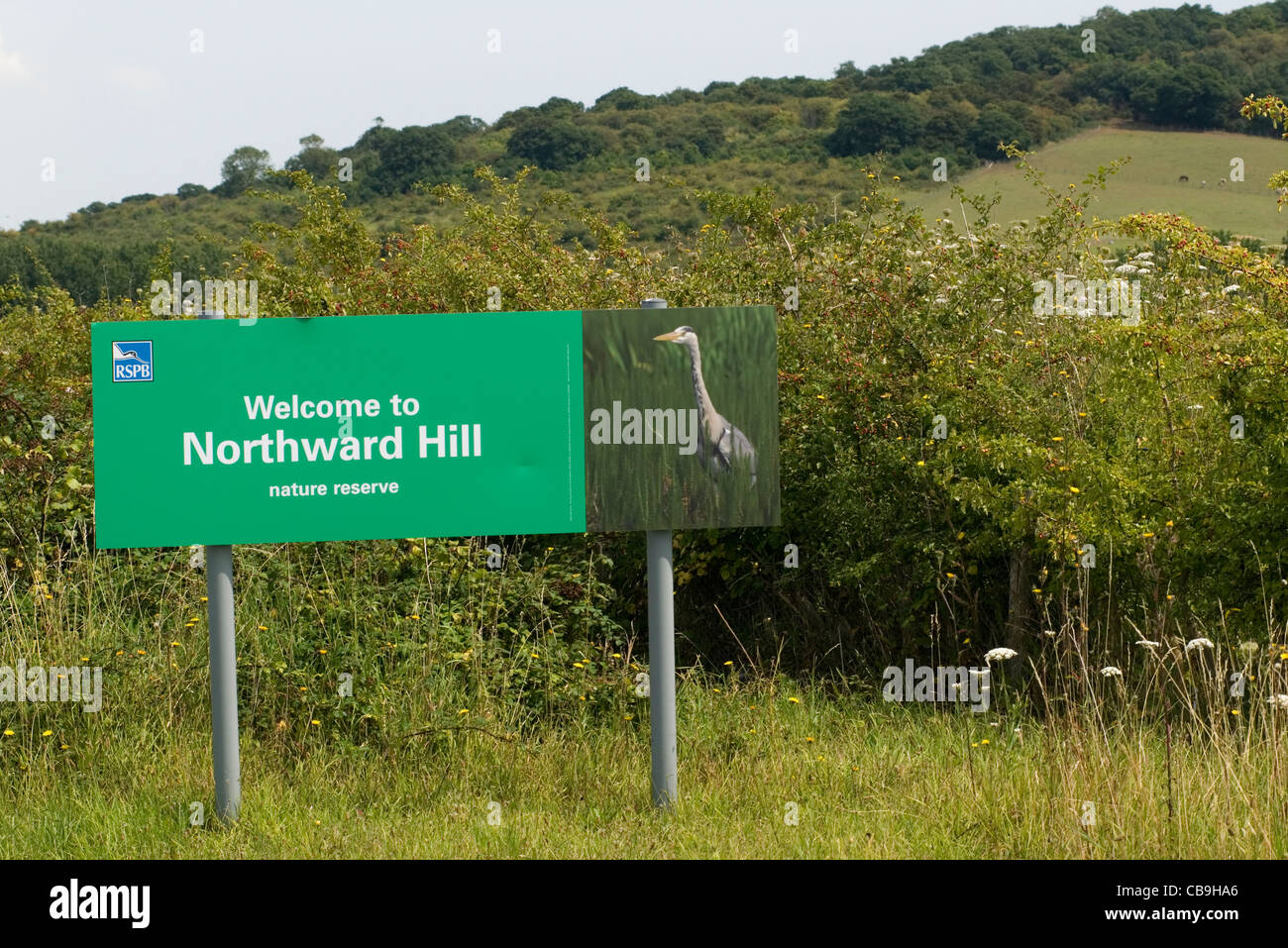 Northward hill nature reserve hi-res stock photography and images - Alamy