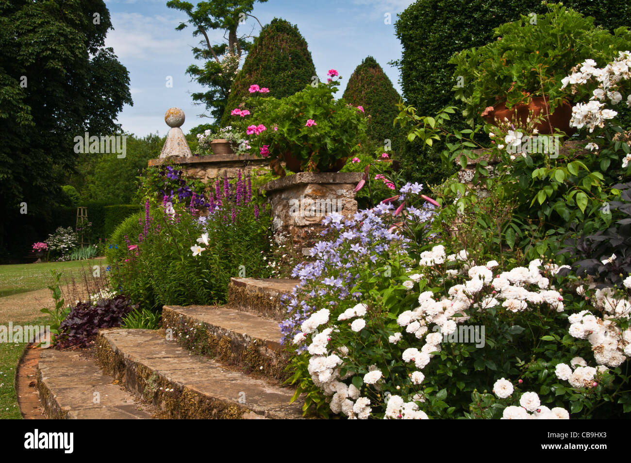 York stone steps leading to a Terrace beside a colourful herbaceous ...