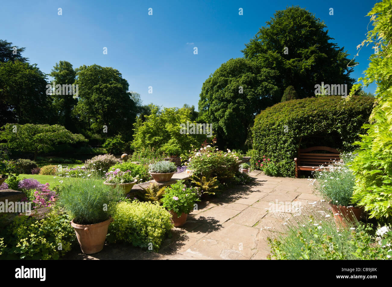 June garden colour hi-res stock photography and images - Alamy