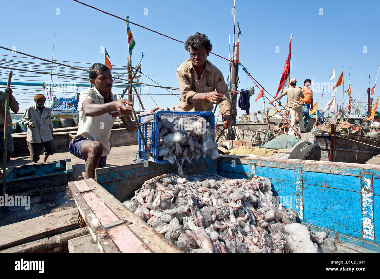 Fishermen unloading the catch of the day (squid). Vanakbara harbour ...