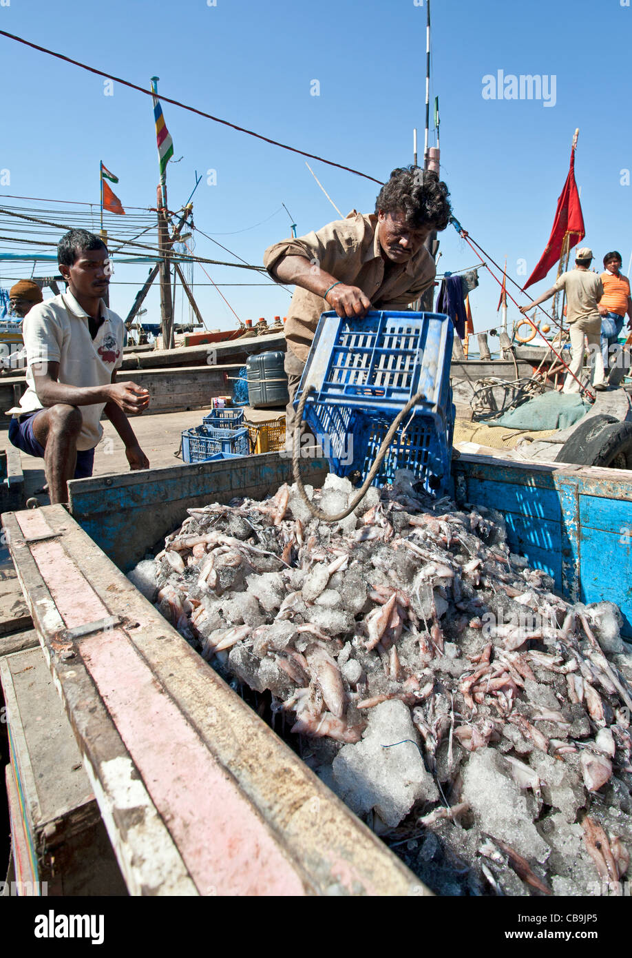 Fishermen unloading the catch of the day (squid). Vanakbara harbour ...
