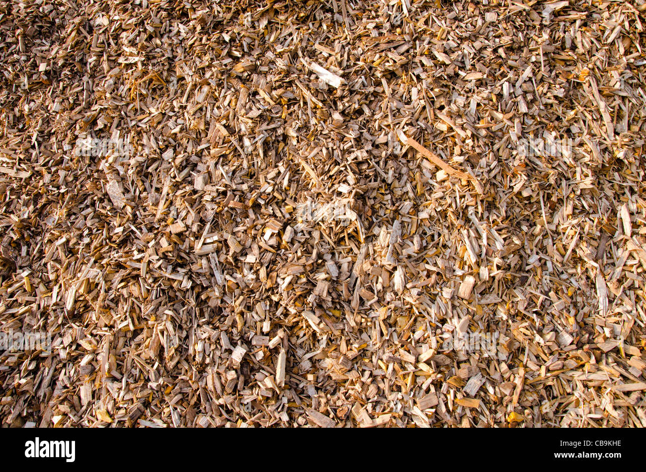 Background of wood shavings. Natural biomass fuels Stock Photo - Alamy