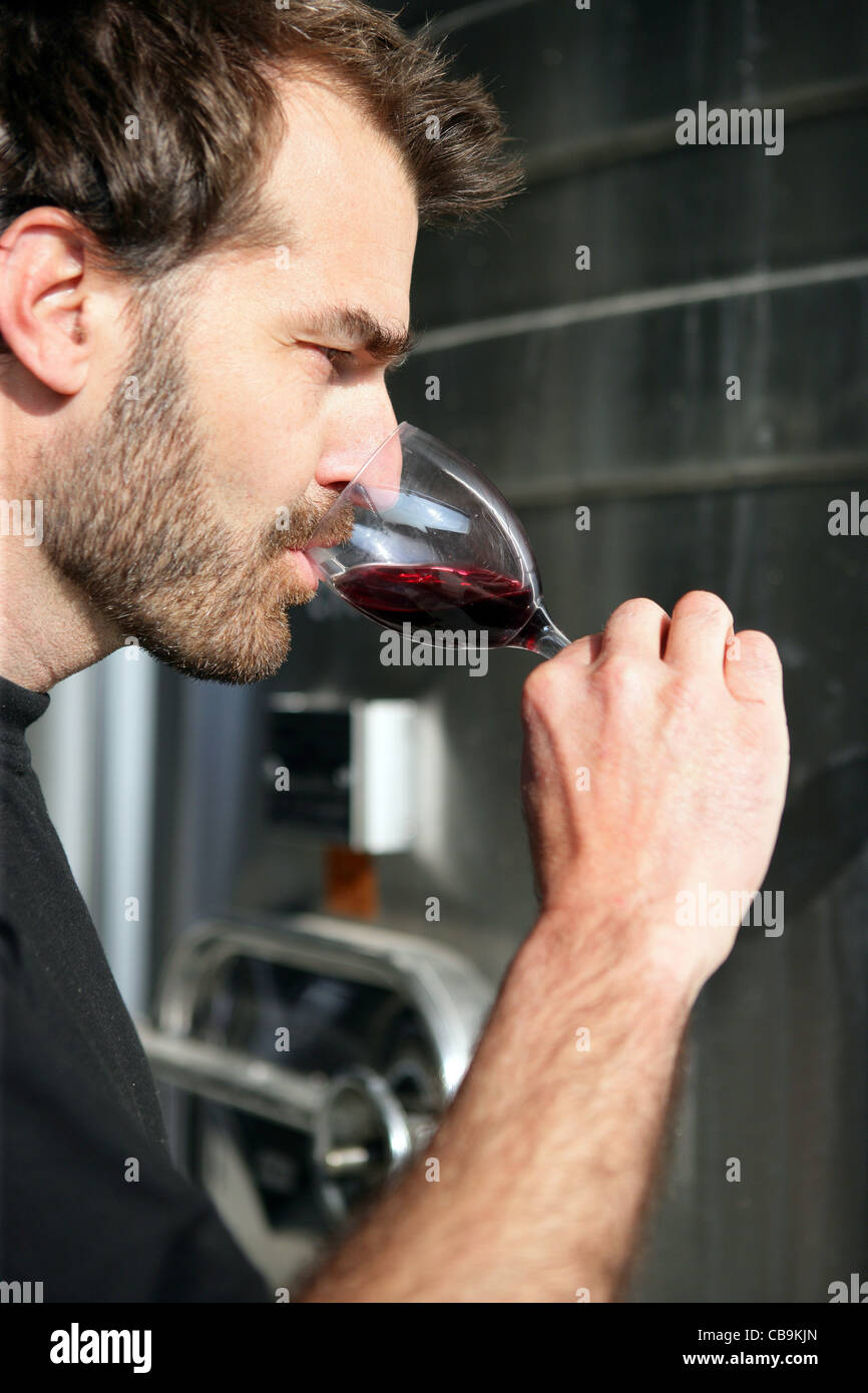 Man wine tasting Stock Photo - Alamy