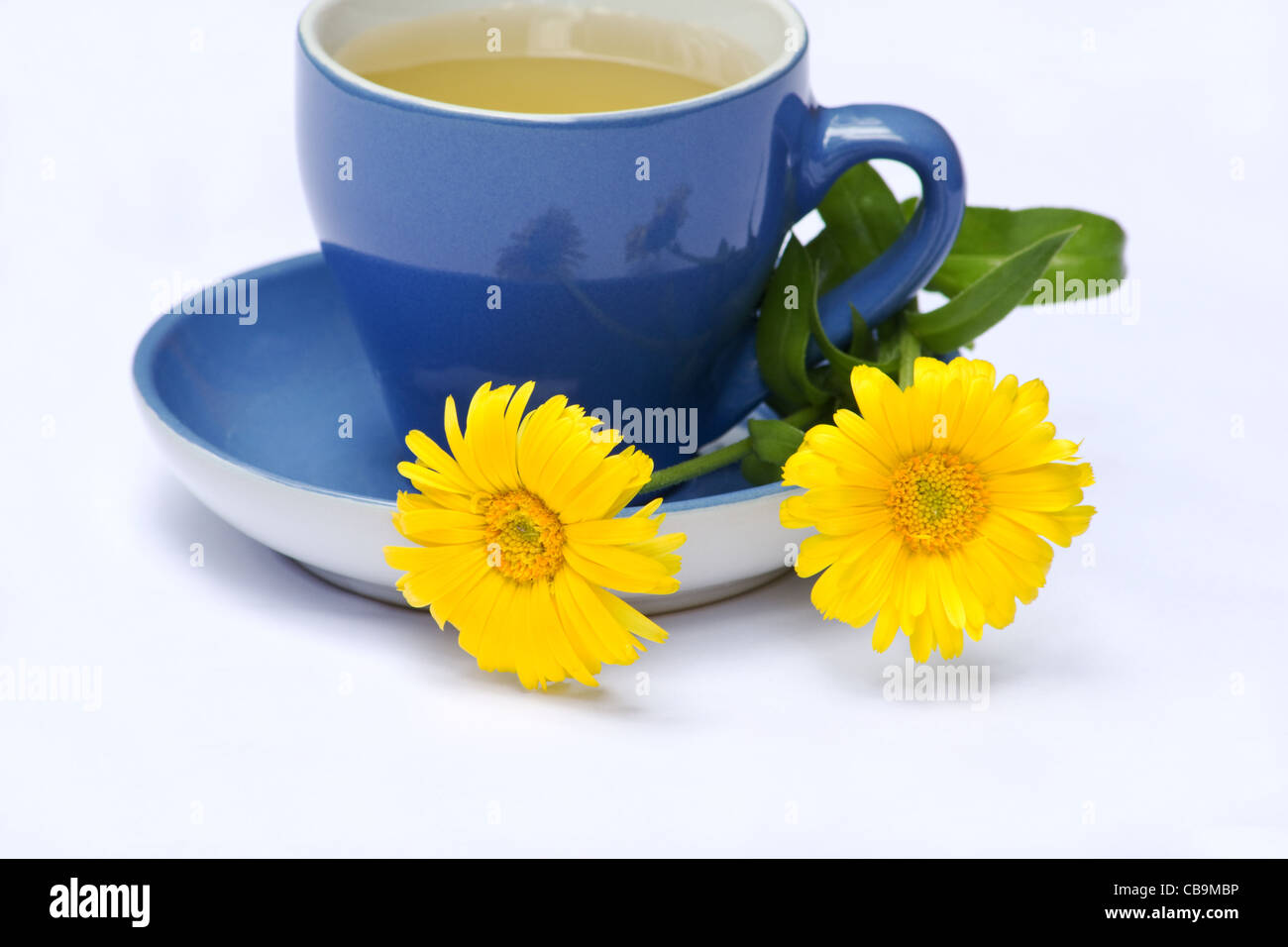 Calendula officinalis tea hi-res stock photography and images - Alamy