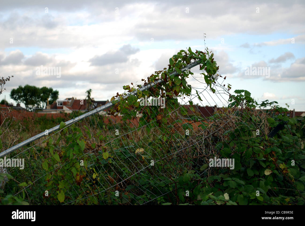 Overgrowth hi-res stock photography and images - Alamy
