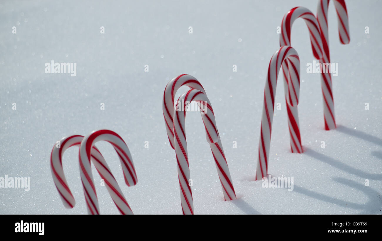 Traditional holiday candy candy cane in snow Stock Photo - Alamy