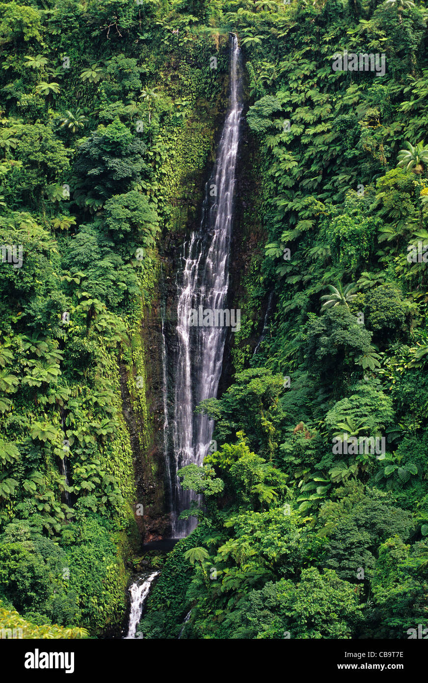 Upolu samoa waterfall hi-res stock photography and images - Alamy