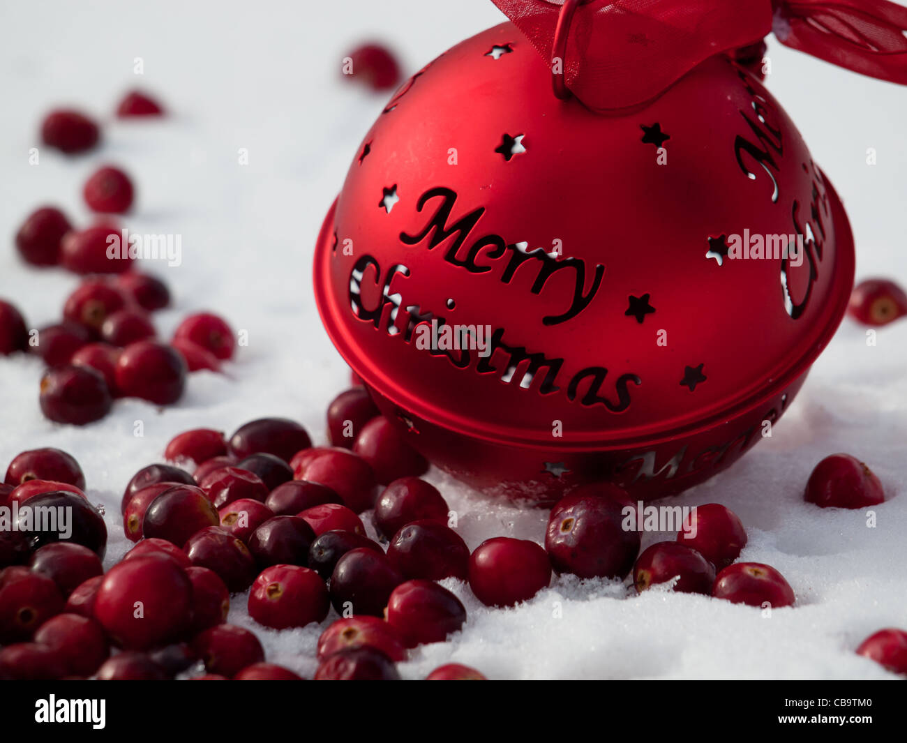Christmas ornament in the snow cranberries Stock Photo - Alamy