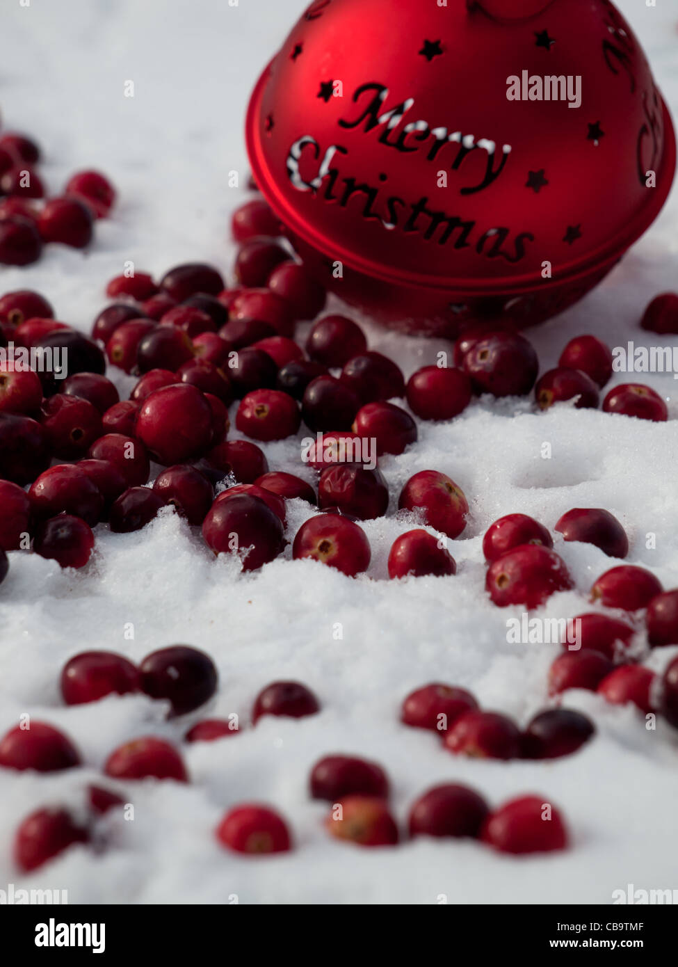 Christmas ornament in the snow cranberries Stock Photo - Alamy