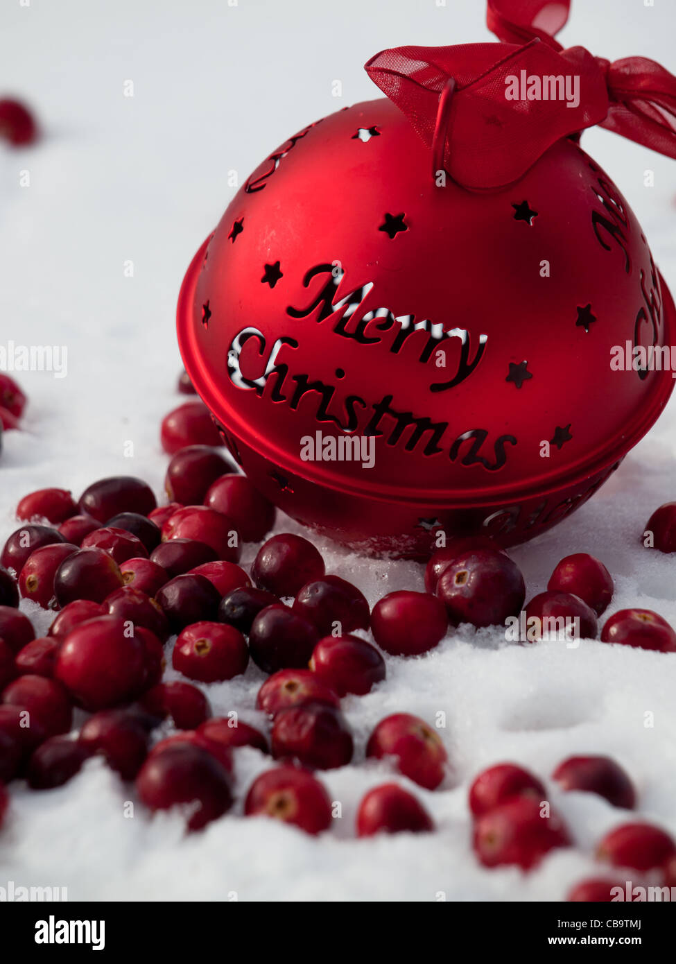 Christmas ornament in the snow cranberries Stock Photo - Alamy