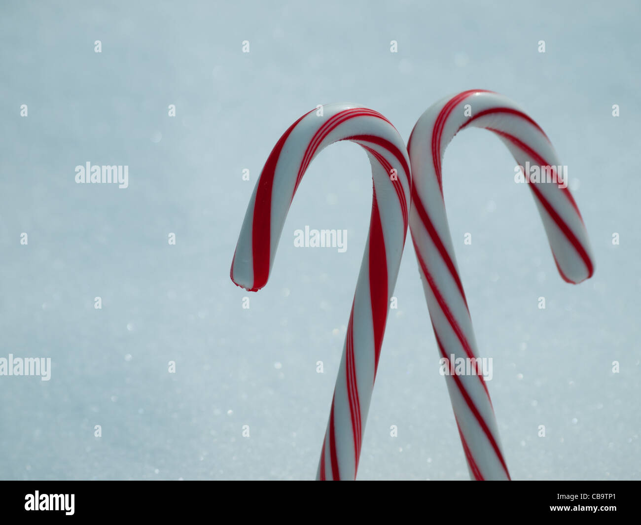 Traditional holiday candy candy cane in snow Stock Photo - Alamy