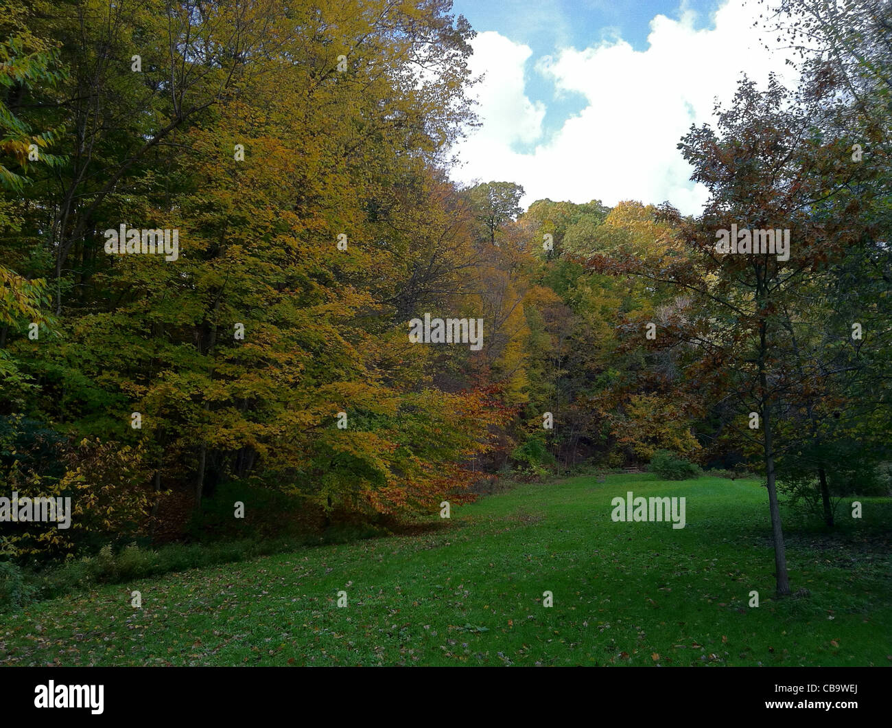Meadow fall autumn colors hi-res stock photography and images - Alamy