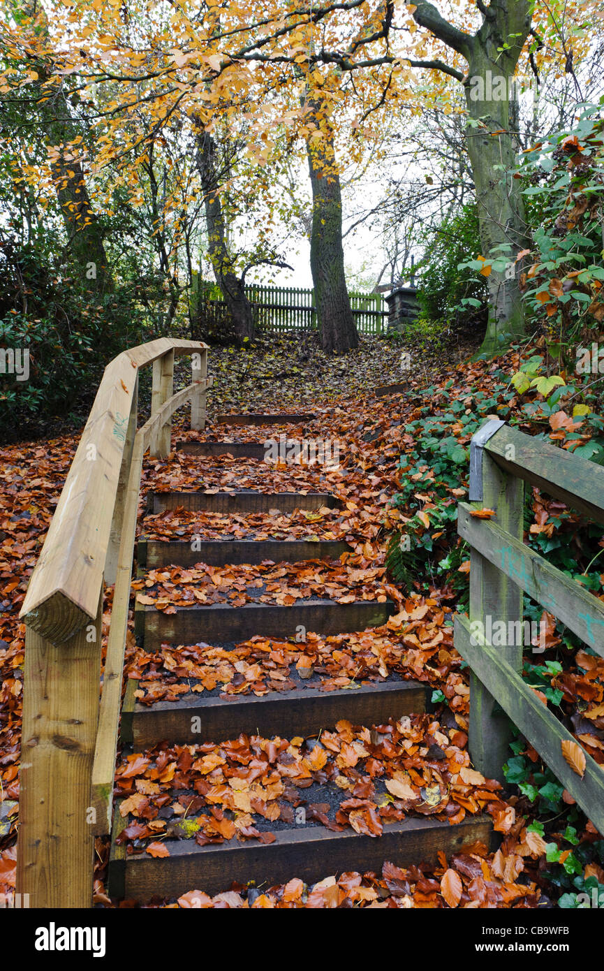 Jesmond Dene, Newcastle upon Tyne Stock Photo - Alamy