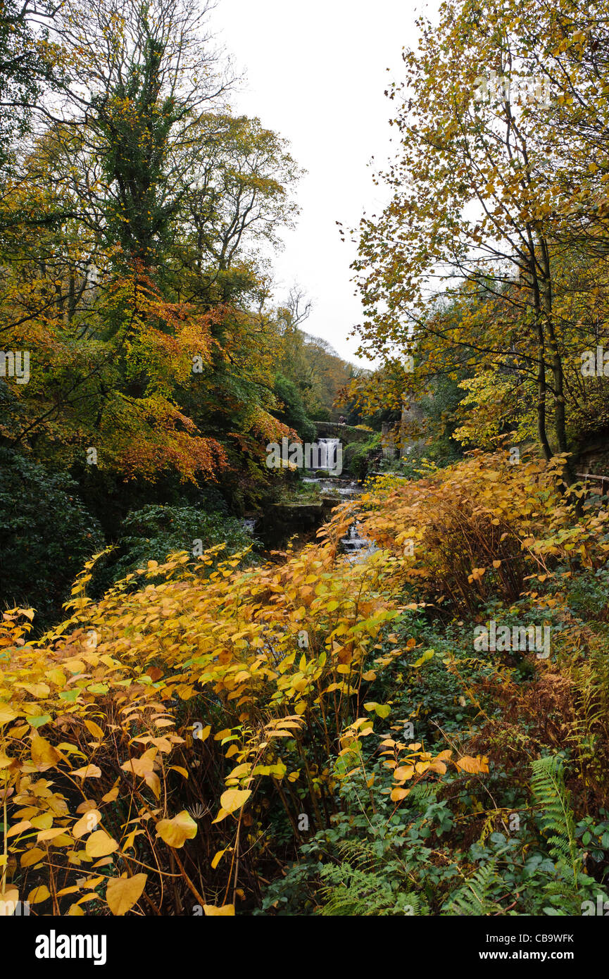 Jesmond dene newcastle hi-res stock photography and images - Alamy