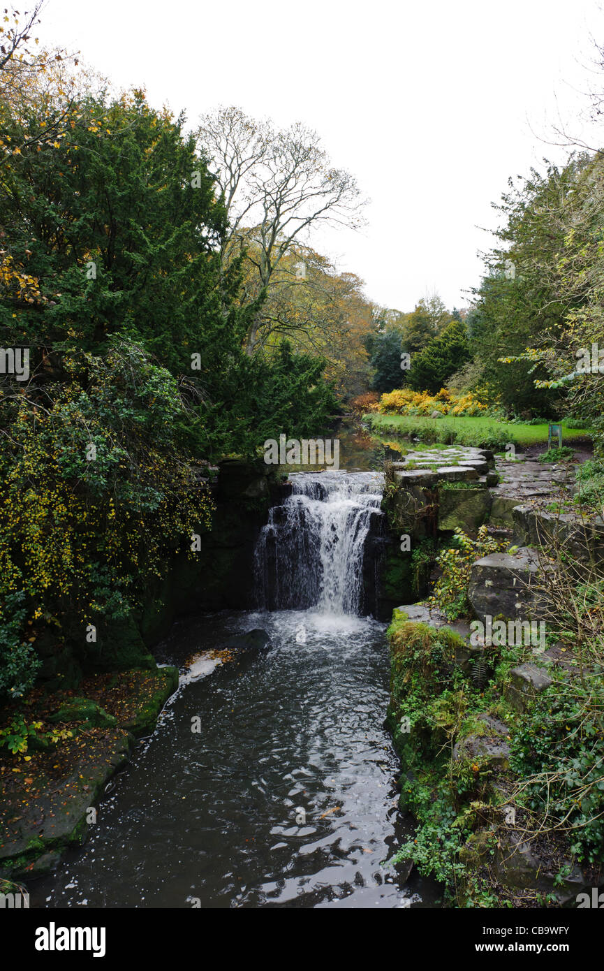 Autumn colours at jesmond dene hi-res stock photography and images - Alamy