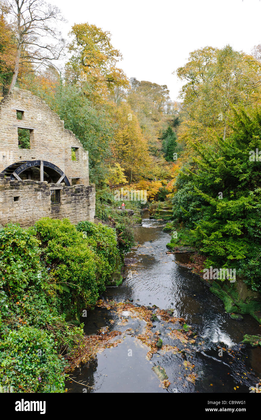 Jesmond Dene, Newcastle upon Tyne Stock Photo - Alamy