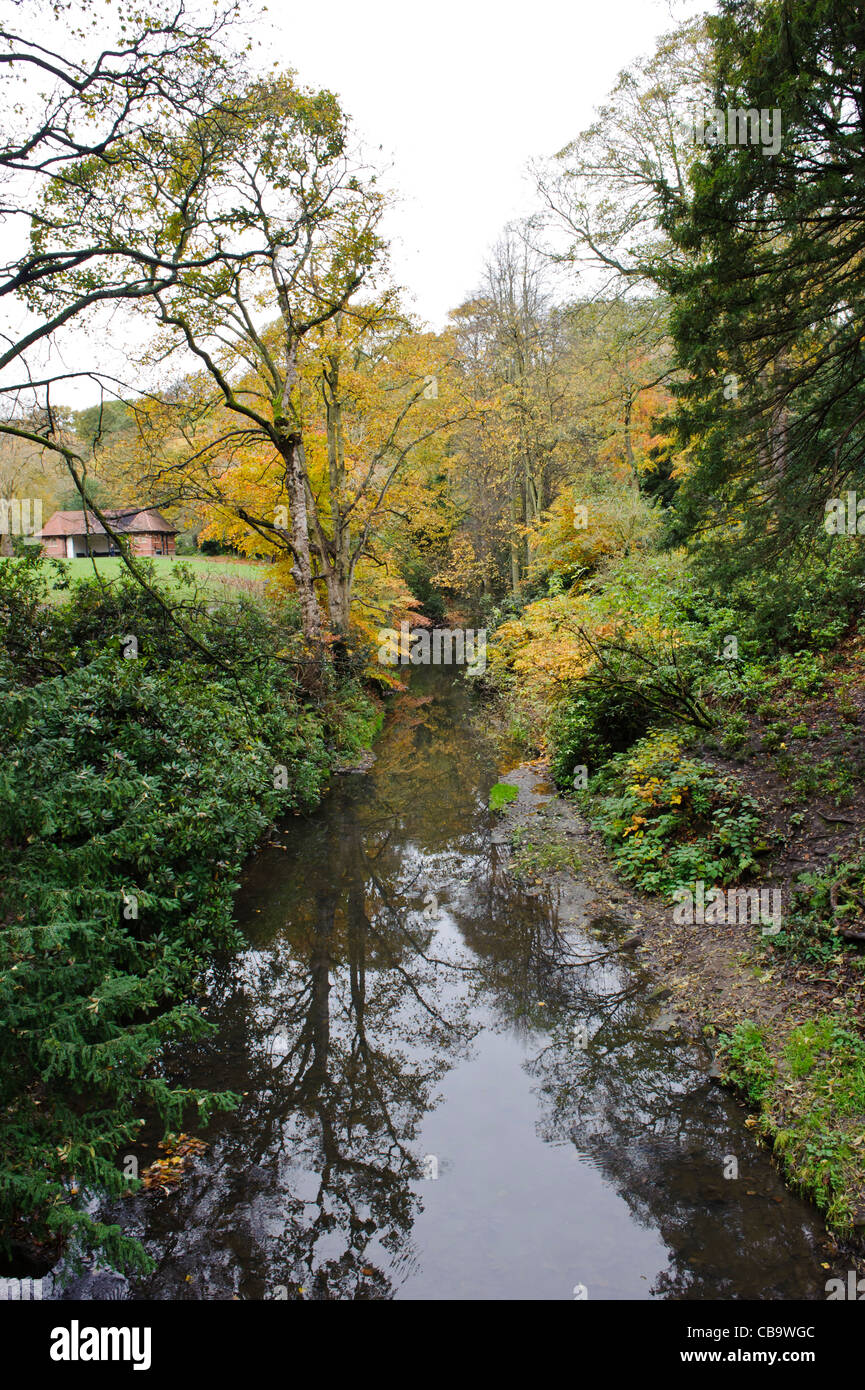 Jesmond Dene, Newcastle upon Tyne Stock Photo - Alamy