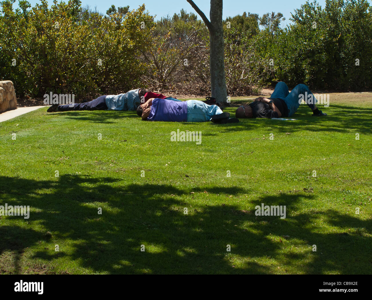 Man napping under a tree hi-res stock photography and images - Alamy