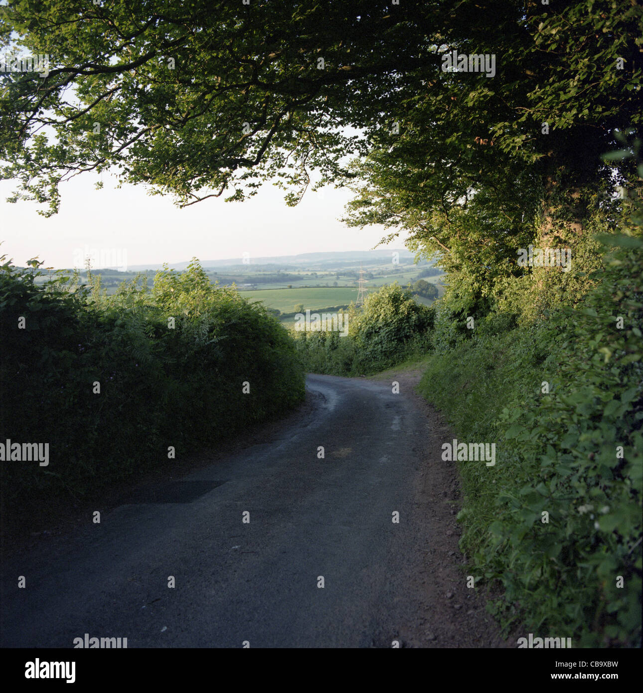 North Devon countryside, UK Stock Photo - Alamy
